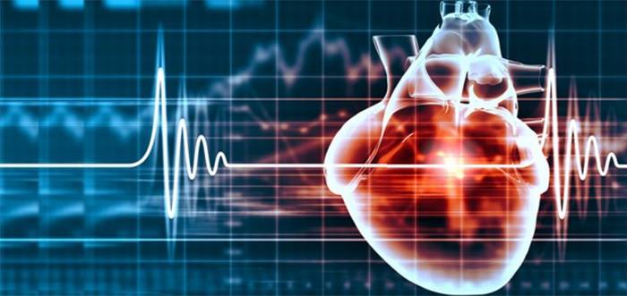 The Student Physiologist – Online Cardiology Resource