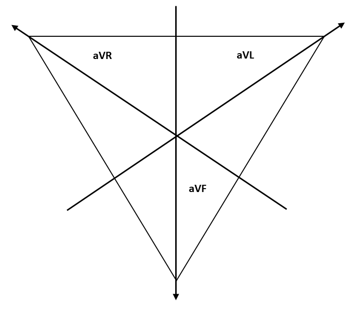 The ECG Leads, Polarity and Einthoven’s Triangle – The Student Physiologist