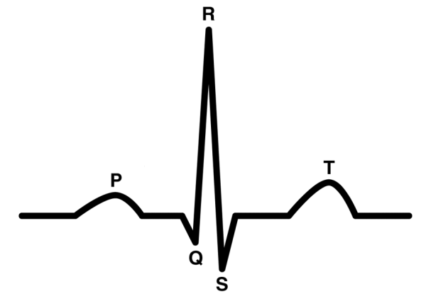 The Normal ECG – The Student Physiologist
