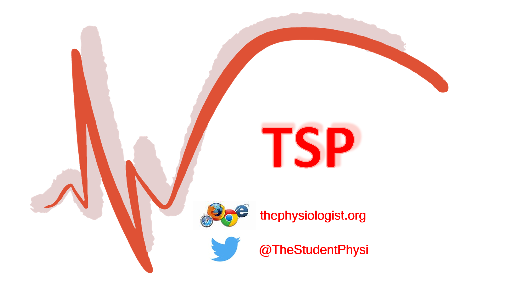 TSP ECG – The Student Physiologist