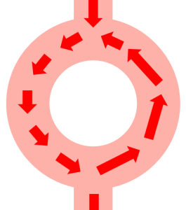 AVNRT and AVRT – The Student Physiologist