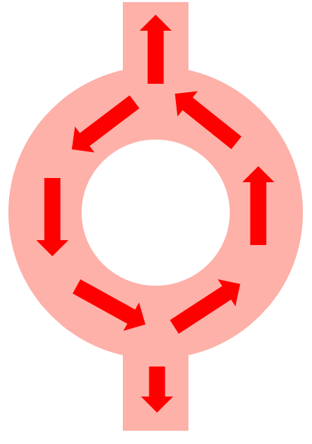 AVNRT and AVRT – The Student Physiologist