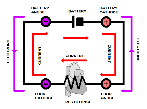 Electrical Physics – The Student Physiologist
