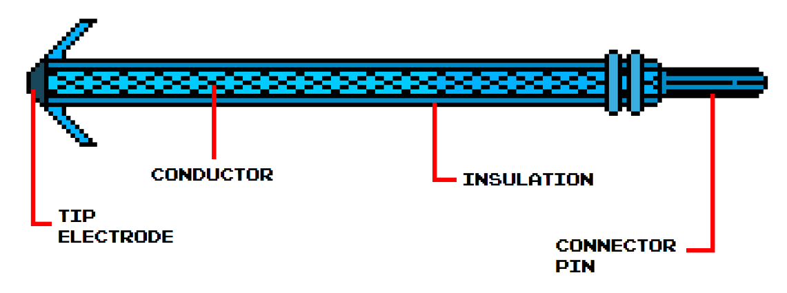 Pacemaker Components – The Student Physiologist