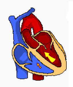 Basic Pacing Modes – The Student Physiologist