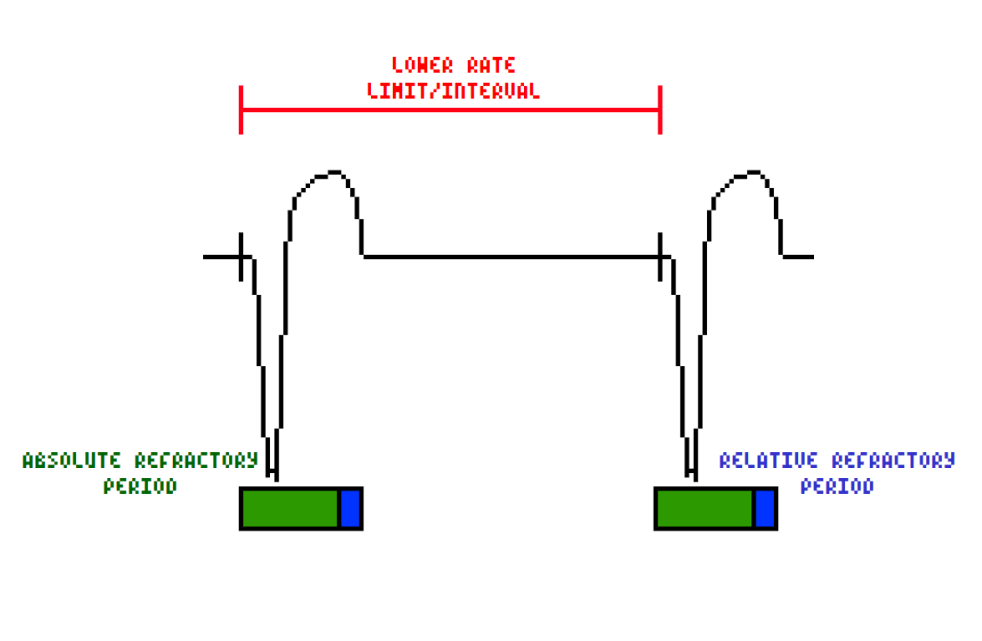 Timing Cycles – The Student Physiologist