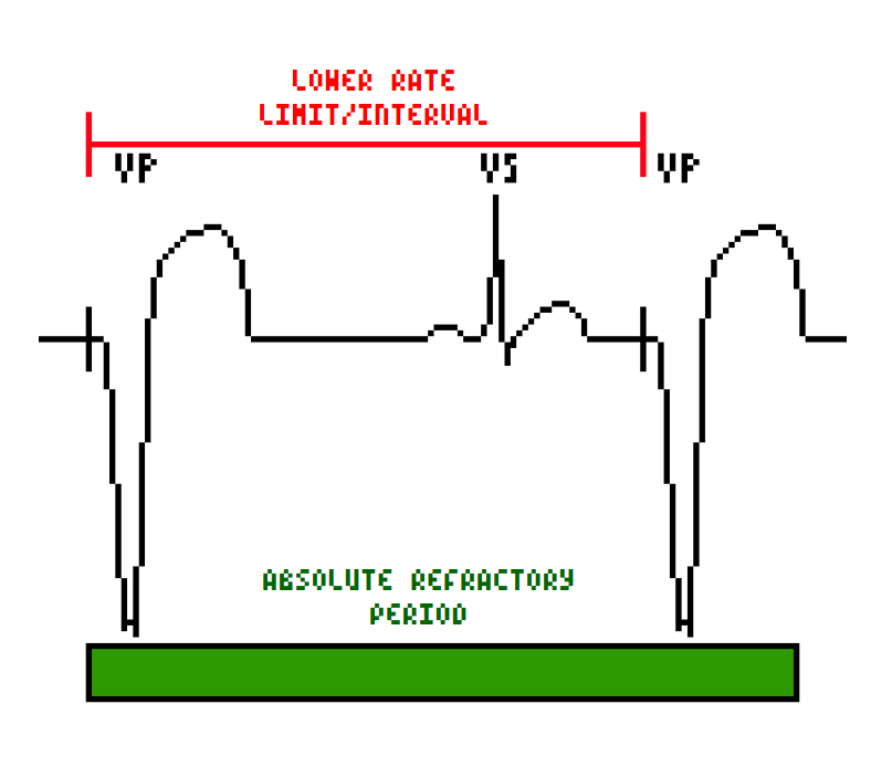 Timing Cycles – The Student Physiologist