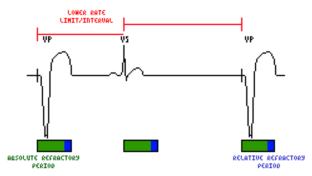 Timing Cycles – The Student Physiologist